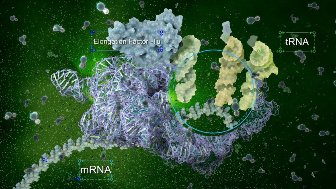 Expanding the Reach of Medical Animation CG