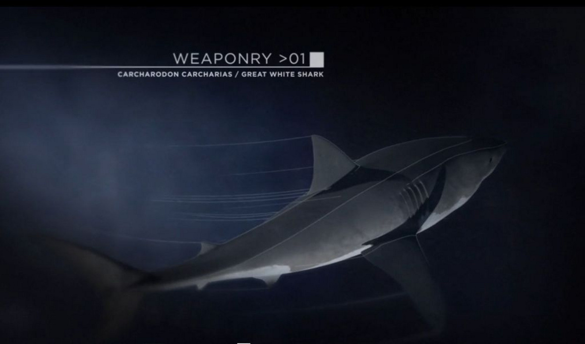 Cinema 4D로 괴물과 함께 수영하기