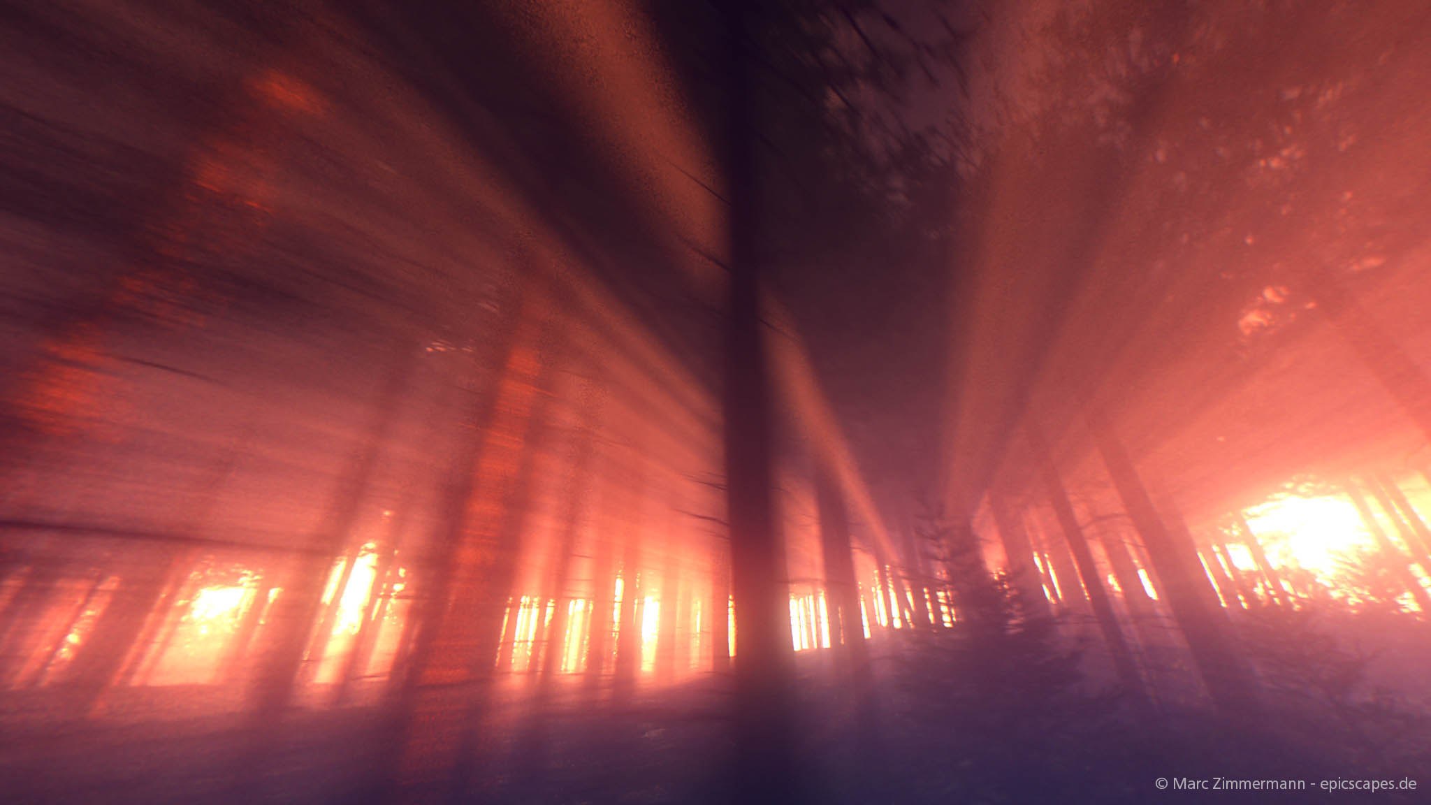 Virtual Escape from the daily Routine