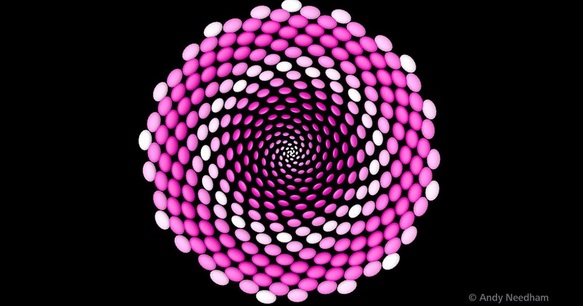 Embracing Code and C4D Embracing Code and C4D
