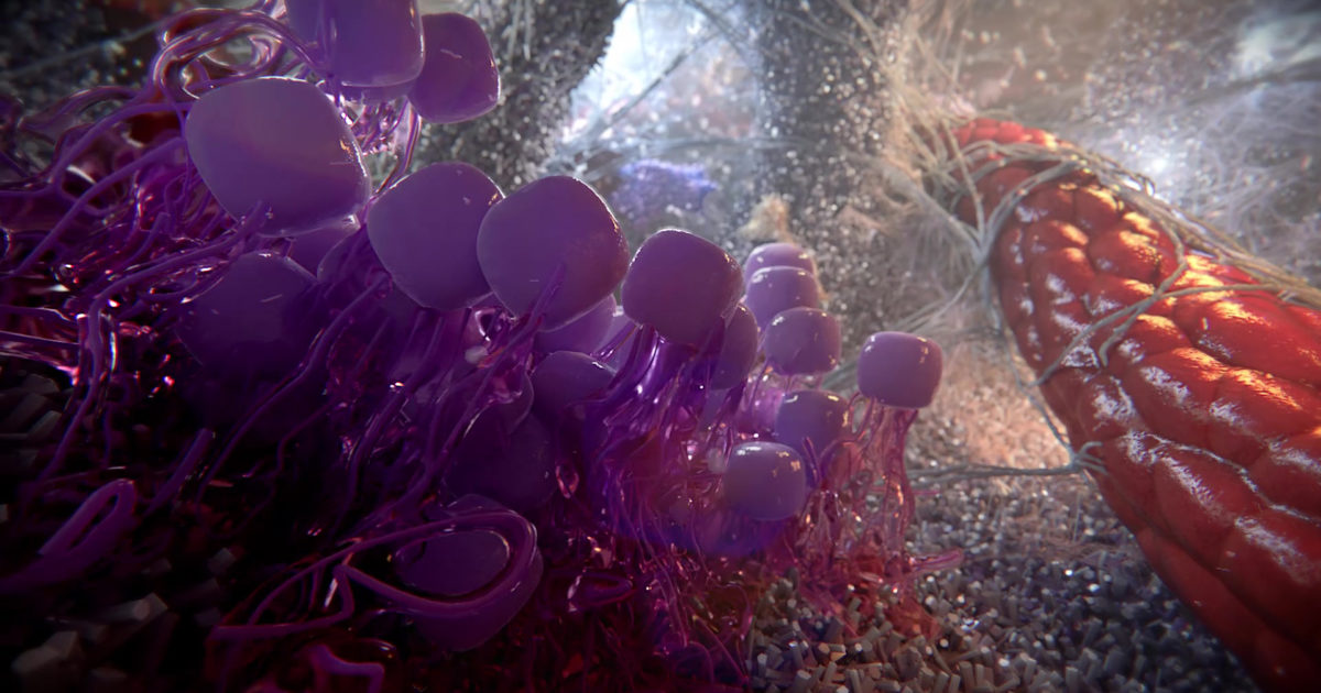 Visualizing New Bone Graft Technology With Houdini and Redshift