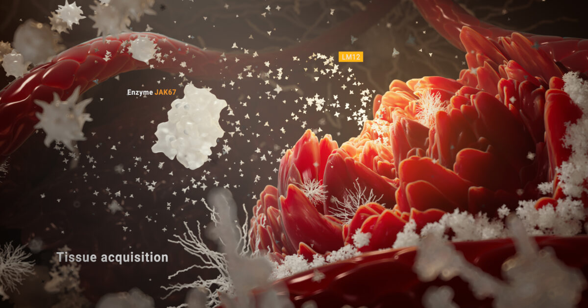 The Art of Medical Animation