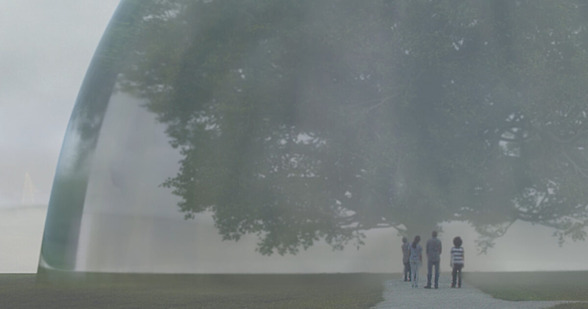 A Family Visits one of the Last Trees on Earth in ‘Monument’