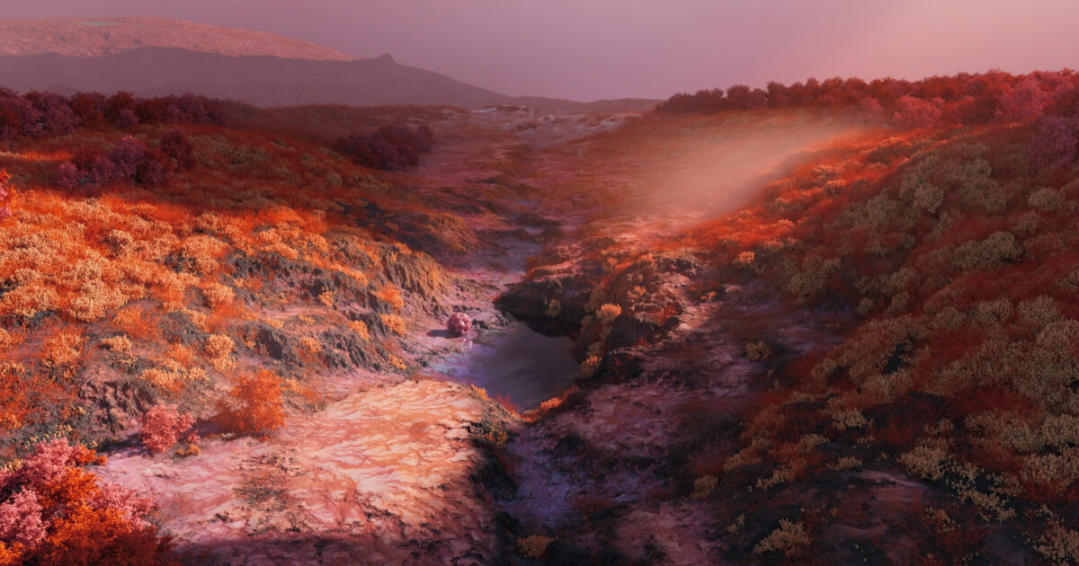 Maxon One을 이용한 탐구의 여정