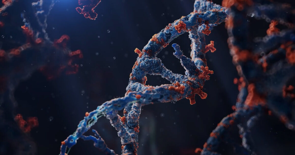 すべての製品をその手に | Maxon One - Maxon